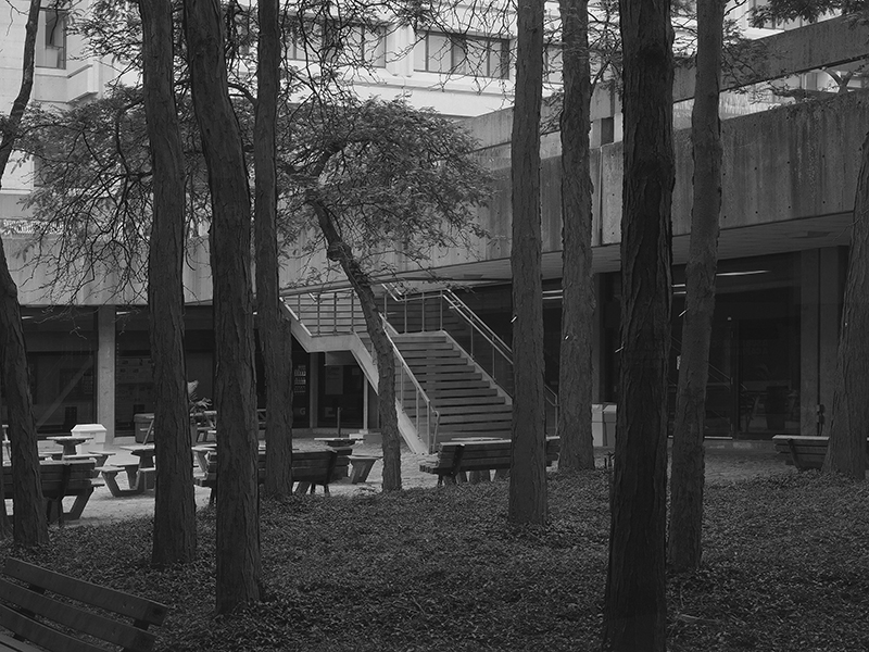 陈文蔚 Chen Wenwei – 独立映像艺术空间 Independent & Image Art Space